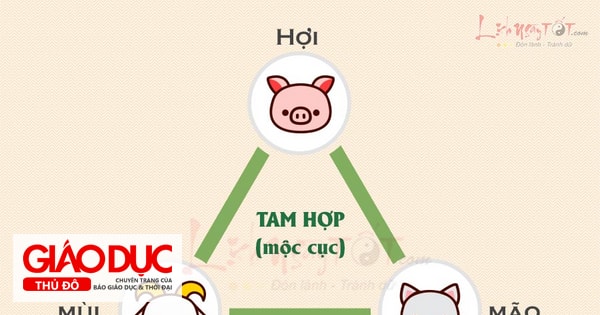 Tam hợp Hợi Mão Mùi - Bộ ba lịch thiệp và ngoại giao tốt, có nhiều cơ ...