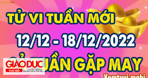 Tử vi tuần mới từ 12/12 - 18/12/2022 của 12 con giáp: Thìn sóng gió ...