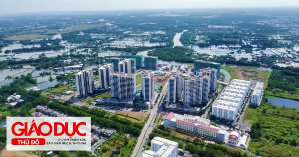 Setra Corp lỗ sau thuế năm 2022 gần 480 tỷ đồng, nợ phải trả cao gấp 12 ...