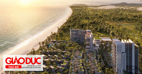 Dự án Le Méridien Da Nang của MBLand Tonkin báo lãi 2022 là 4 triệu đồng