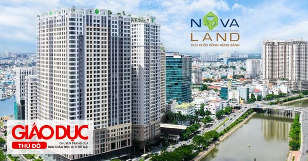 Novaland sẽ làm gì để đạt được kế hoạch lãi hơn 800 tỷ đồng vào nửa ...