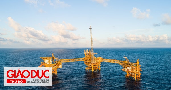 Cửu Long JOC - Hành trình 25 năm chinh phục 'sư tử' ngoài biển khơi