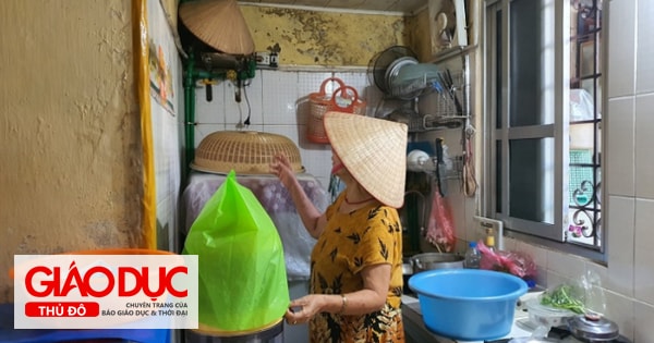 Khu tập thể nhếch nhác, xập xệ trên “đất vàng”: Nấu cơm đội nón, đi tắm ...