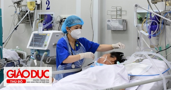 'Cánh cửa' rộng mở với ngành điều dưỡng