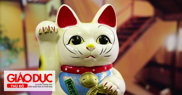 Những lưu ý trong việc đặt Mèo May Mắn để thu hút nhiều tài lộc