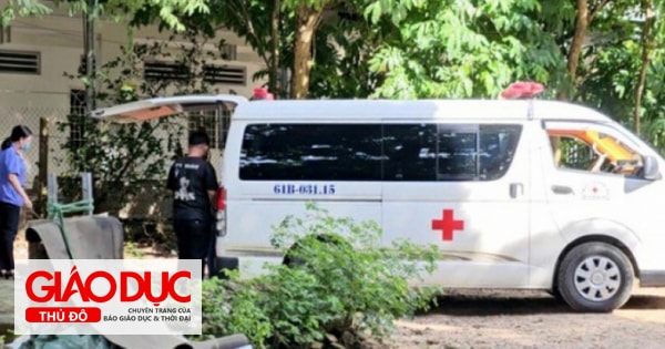 Phát hiện bộ xương người không đầu tại bãi đất trống ở Bình Dương