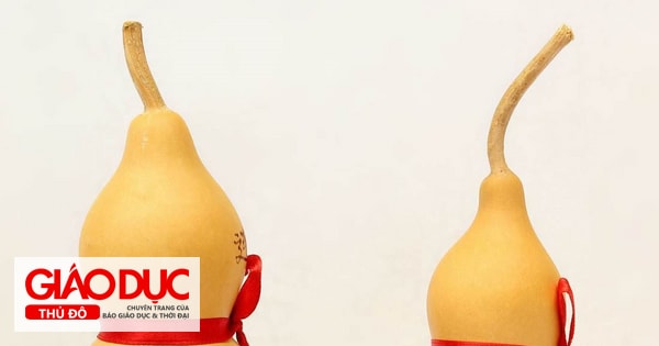 Ý nghĩa phong thủy của quả bầu