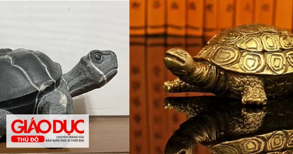 Rùa đồng và rùa đá có tác dụng phong thủy gì?