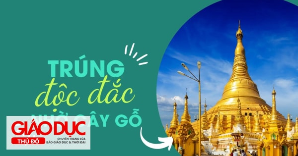 Nhà sư trúng số nhờ cây gỗ trong chùa