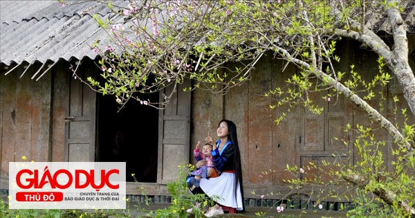 Tản văn Xuân về bên sân nhà