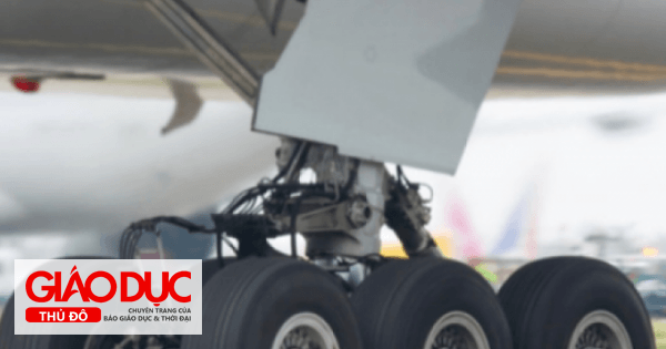 Lợi nhuận tăng "sốc" 1.000%, doanh nghiệp phải giải trình
